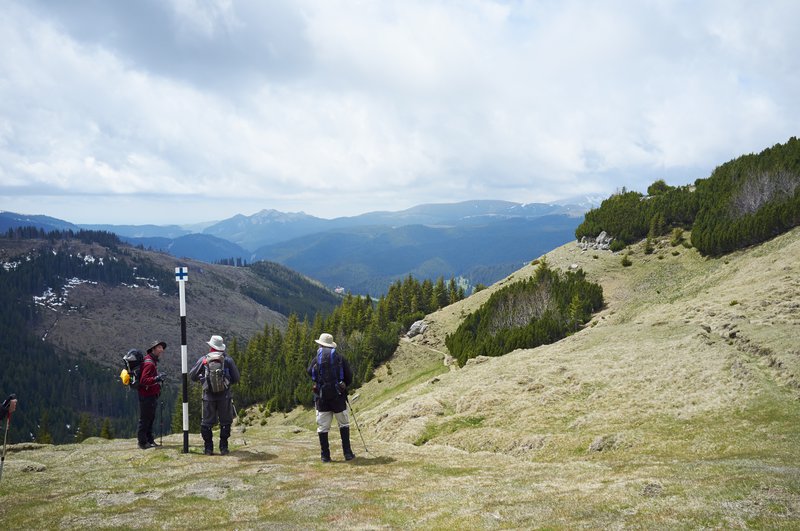 Billiga flyg till Rumänien från 1 642 kr | Flygresor.se